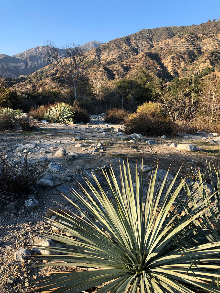 Tours, Walks and Hikes | ECNCA - Eaton Canyon Nature Center Associates